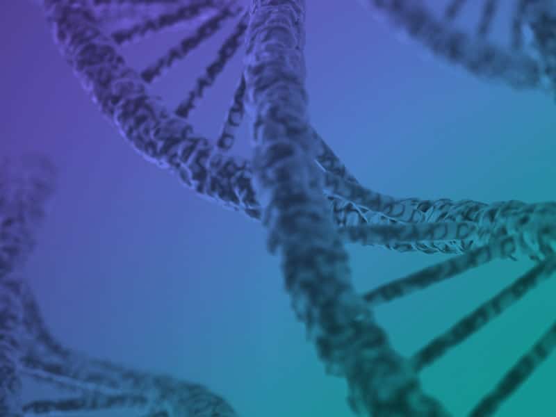 Exame SNP/CGH-Array Análise de Anomalias Cromossômicas - Fleming Genética